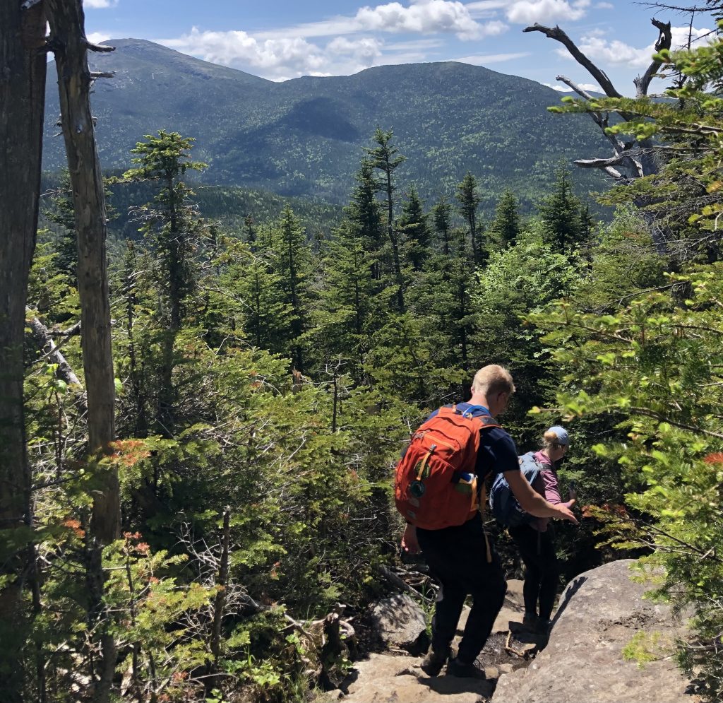 Student Research: Sam Lasher, Forever kept as wild forest lands, Part 4 ...